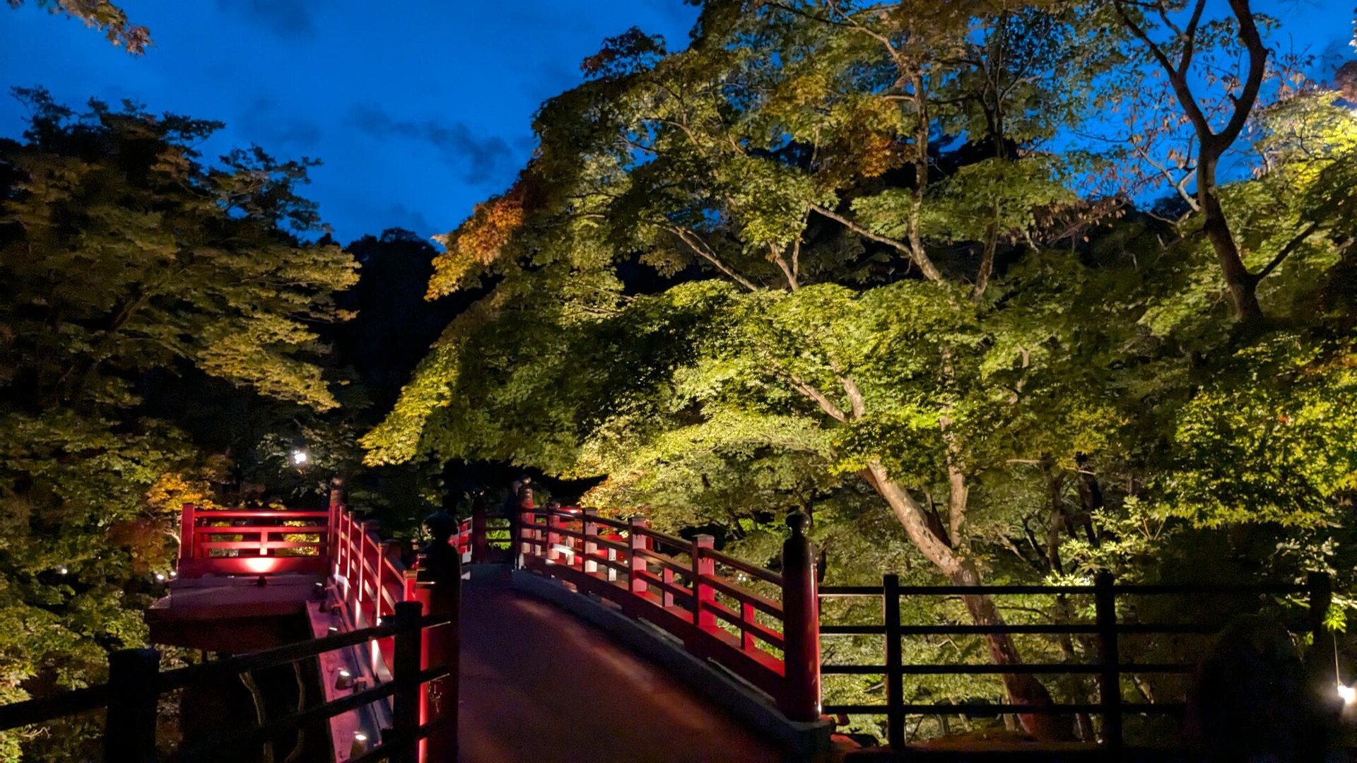 弥彦山 / TOSさんの弥彦山・多宝山・雨乞山の活動データ | YAMAP / ヤマップ