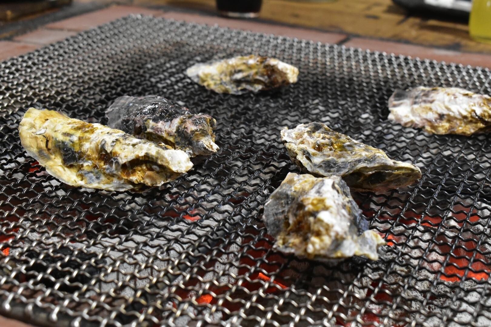 青春18きっぷ第二弾‼️ JR坂越駅か... / wind⛰さんのモーメント | YAMAP / ヤマップ