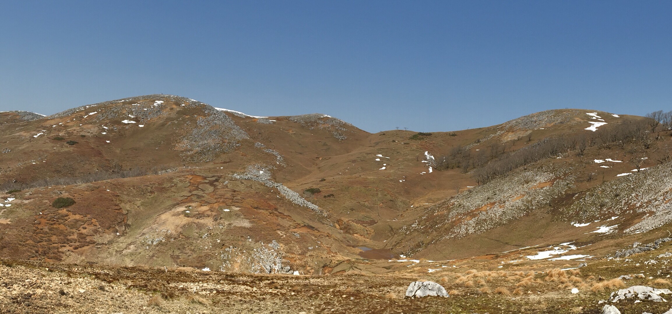 霊仙山-2019-04-06 / hikaさんの霊仙山の活動日記 | YAMAP / ヤマップ