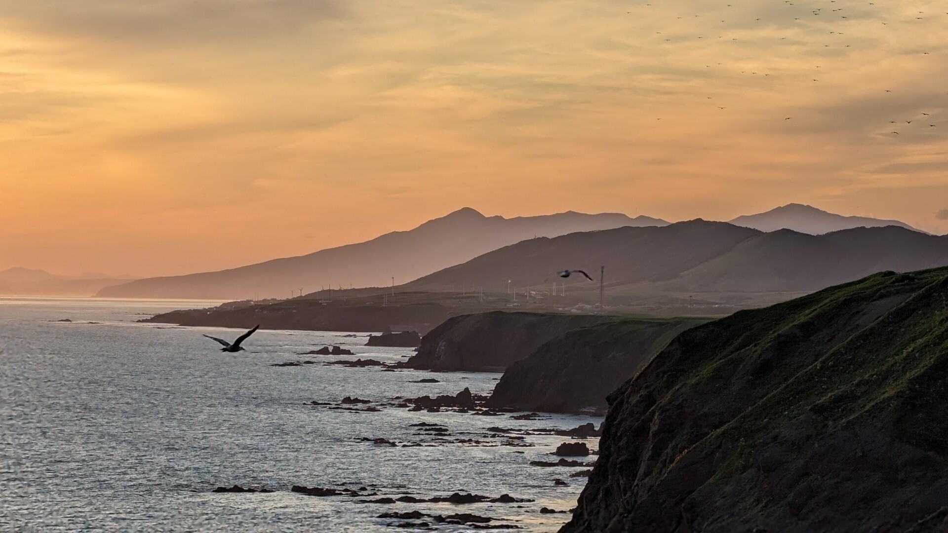 アポイ岳〜花を楽しめる山〜 / kuroさんのアポイ岳の活動日記 | YAMAP / ヤマップ