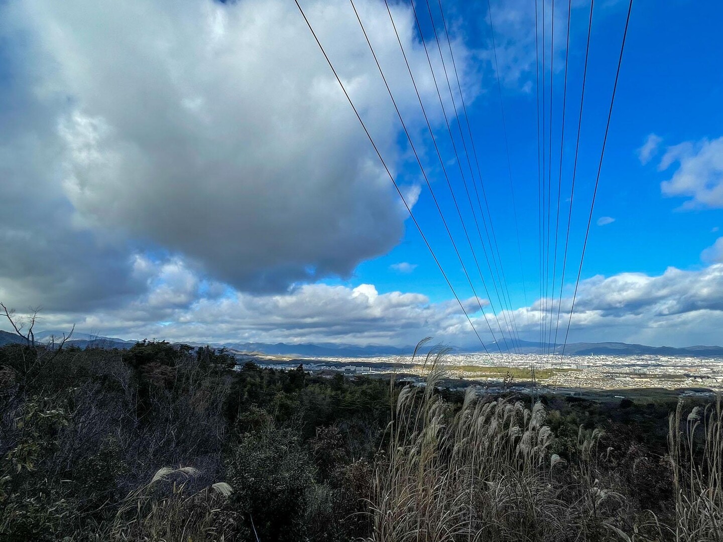 【日々の山トレ3】西山キャンプ場あたりの山1/26 / Tim the Greenbearsさんのトレイルランニングの活動データ | YAMAP / ヤマップ