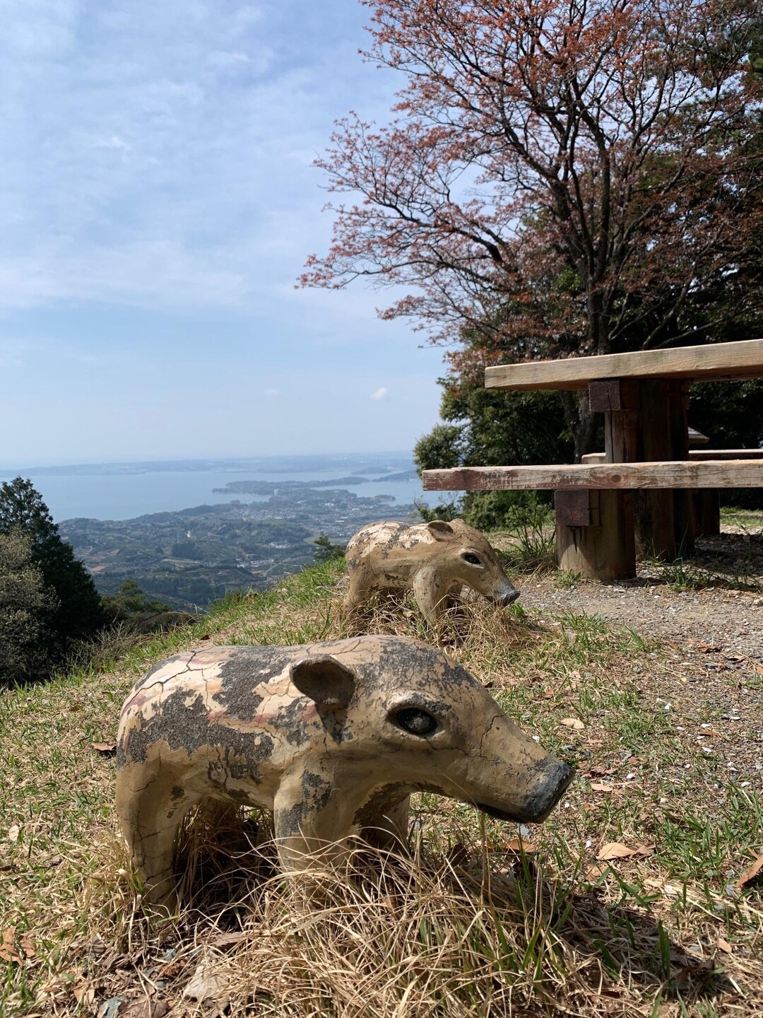 尉ヶ峰 お花見登山 / naniさんの富幕山・尉ヶ峰・竜ヶ石山の活動データ | YAMAP / ヤマップ