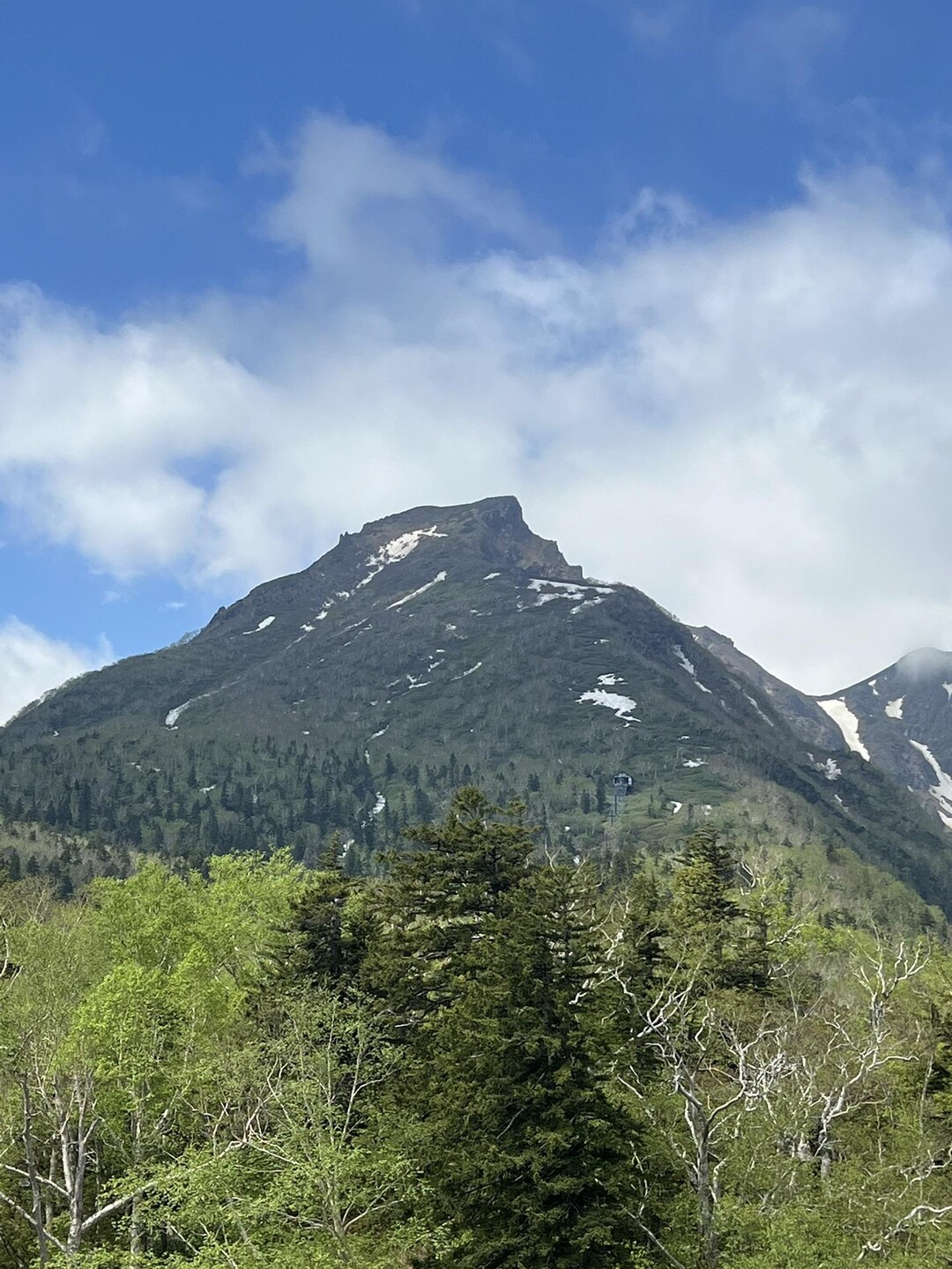 6月11日現在の北海道大雪山系黒岳 登... / a-2myさんのモーメント | YAMAP / ヤマップ