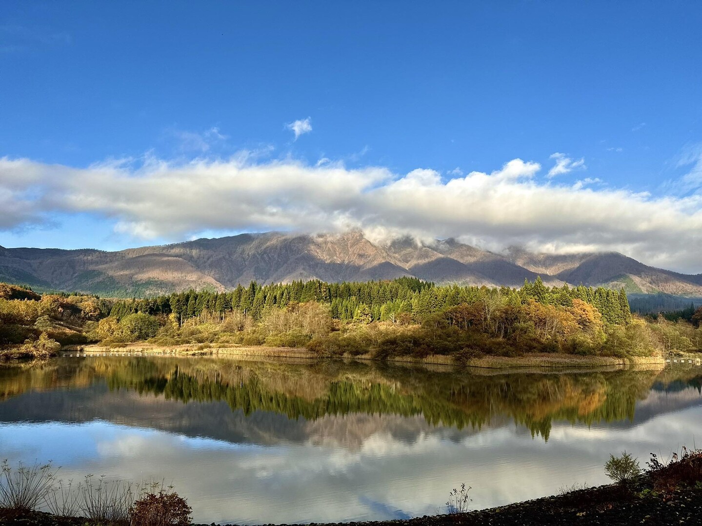 禿岳(小鏑山)から小柴山展望台 / ischanさんの禿岳（小鏑山）・小柴山・大柴山・花渕山の活動データ | YAMAP / ヤマップ