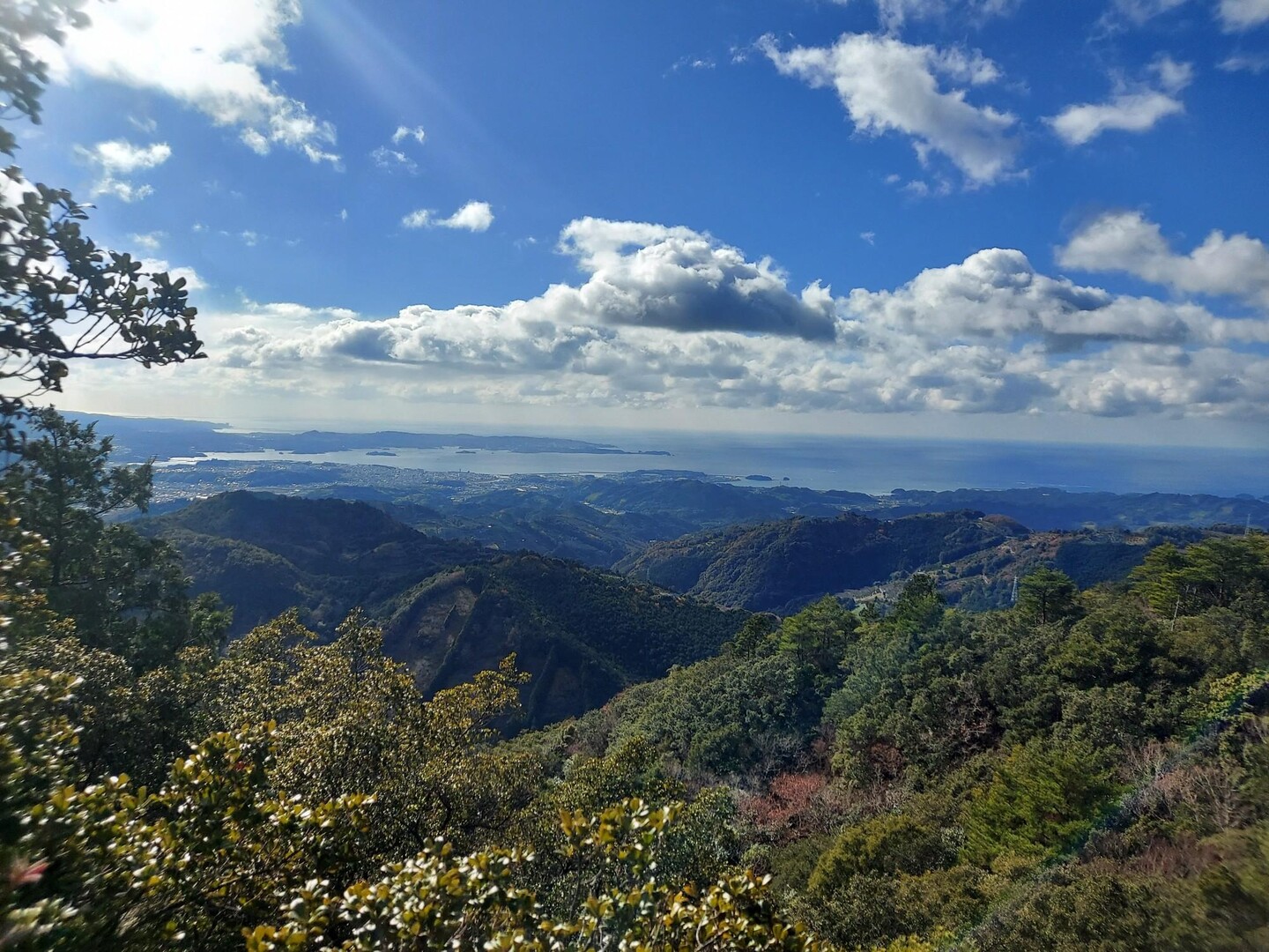 辰年🐲～龍神山～🐲 / ree-koさんの田辺市・高尾山・龍神山・奇絶峡の活動データ | YAMAP / ヤマップ