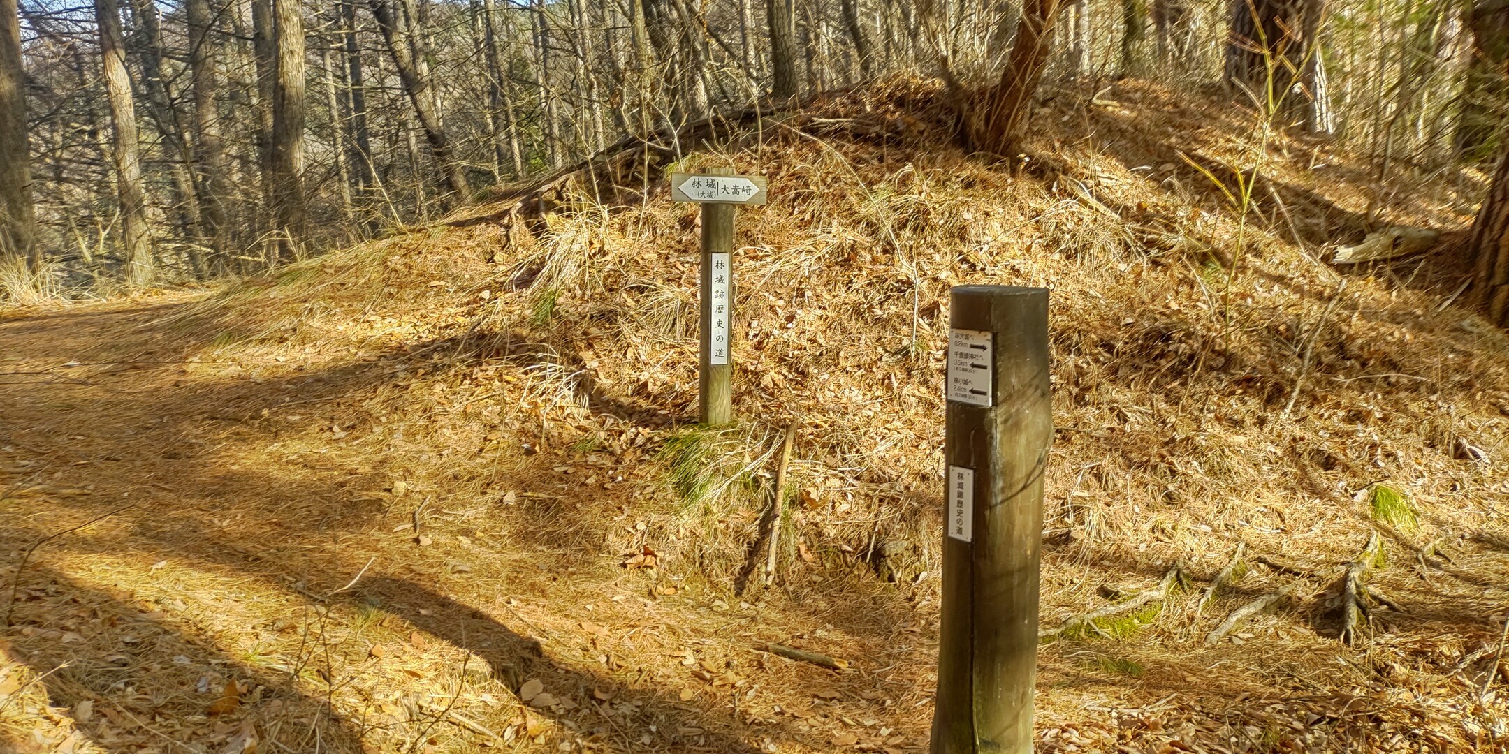 しんやさんさんの投稿したフィールドメモ | YAMAP / ヤマップ