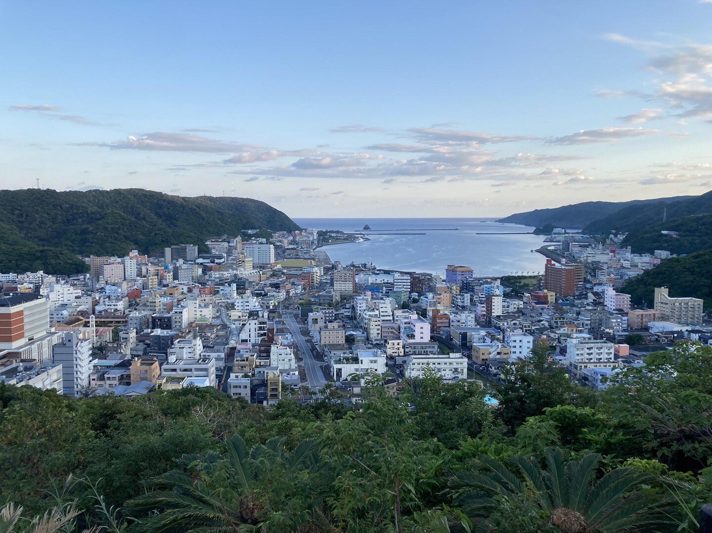 奄美大島 名瀬のおがみ山ウォーキング / TQさんのウォーキングの活動日記 | YAMAP / ヤマップ