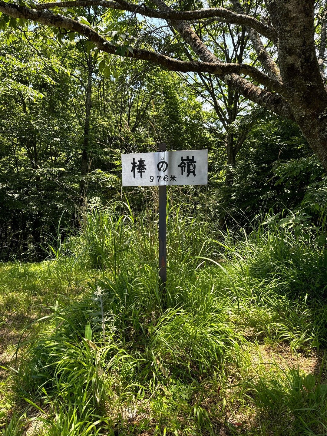 棒ノ嶺（棒ノ折山）・槇ノ尾山 / oiさんの棒ノ折山（棒ノ嶺）の活動データ | YAMAP / ヤマップ