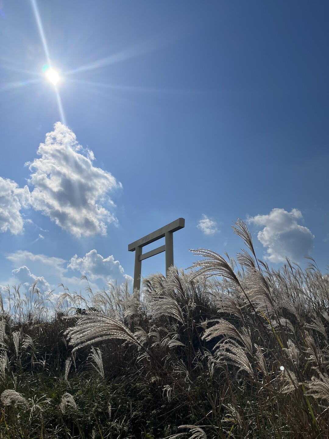 入道ヶ岳、快適登山 / TKOさんの御在所岳（御在所山）・雨乞岳の活動データ | YAMAP / ヤマップ