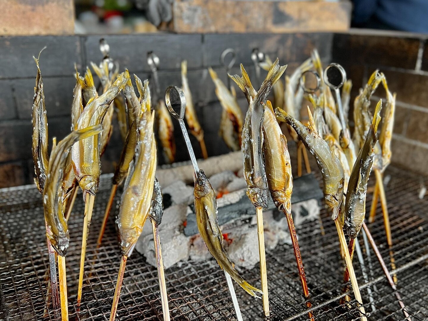 三河湾セーリング⛵️メインはBBQ編 / す〜ぅ🥾さんの佐久島の活動データ | YAMAP / ヤマップ