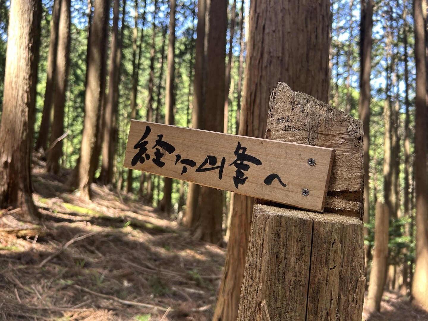 経ヶ峰東峰・経ヶ峰・大洞の峰・鳥羽尾の峰・野副峰 / annaさんの経ヶ峰の活動データ | YAMAP / ヤマップ