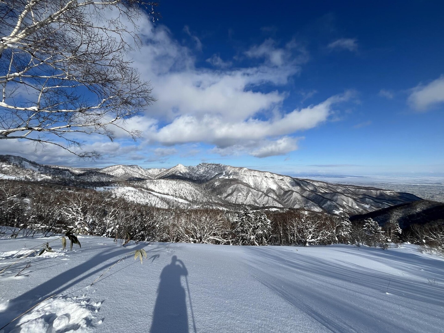 #06 阿部山・峯越山 2025.1.13 / J’Na•••5さんの百松沢山の活動データ | YAMAP / ヤマップ