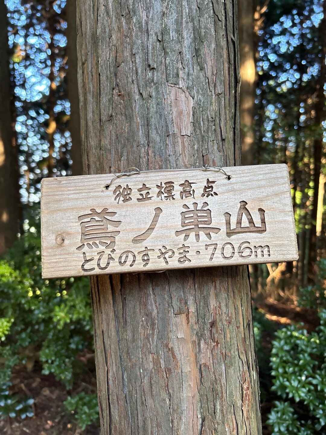 鳶ノ巣山 / ttさんの鳶ノ巣山の活動日記 | YAMAP / ヤマップ