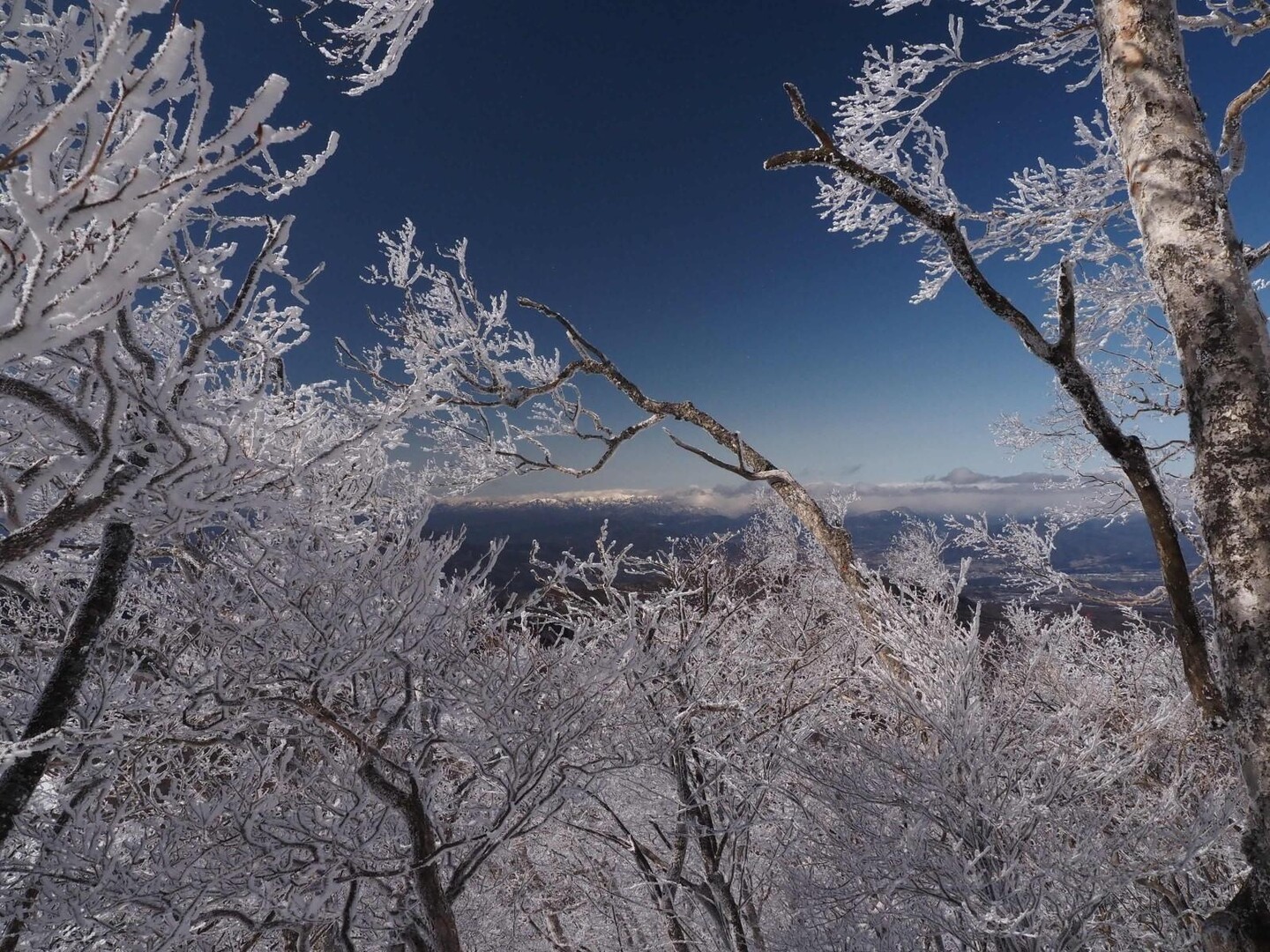 黒檜山・駒ヶ岳/樹氷と青空 / samiさんの赤城山・黒檜山・荒山の活動データ | YAMAP / ヤマップ