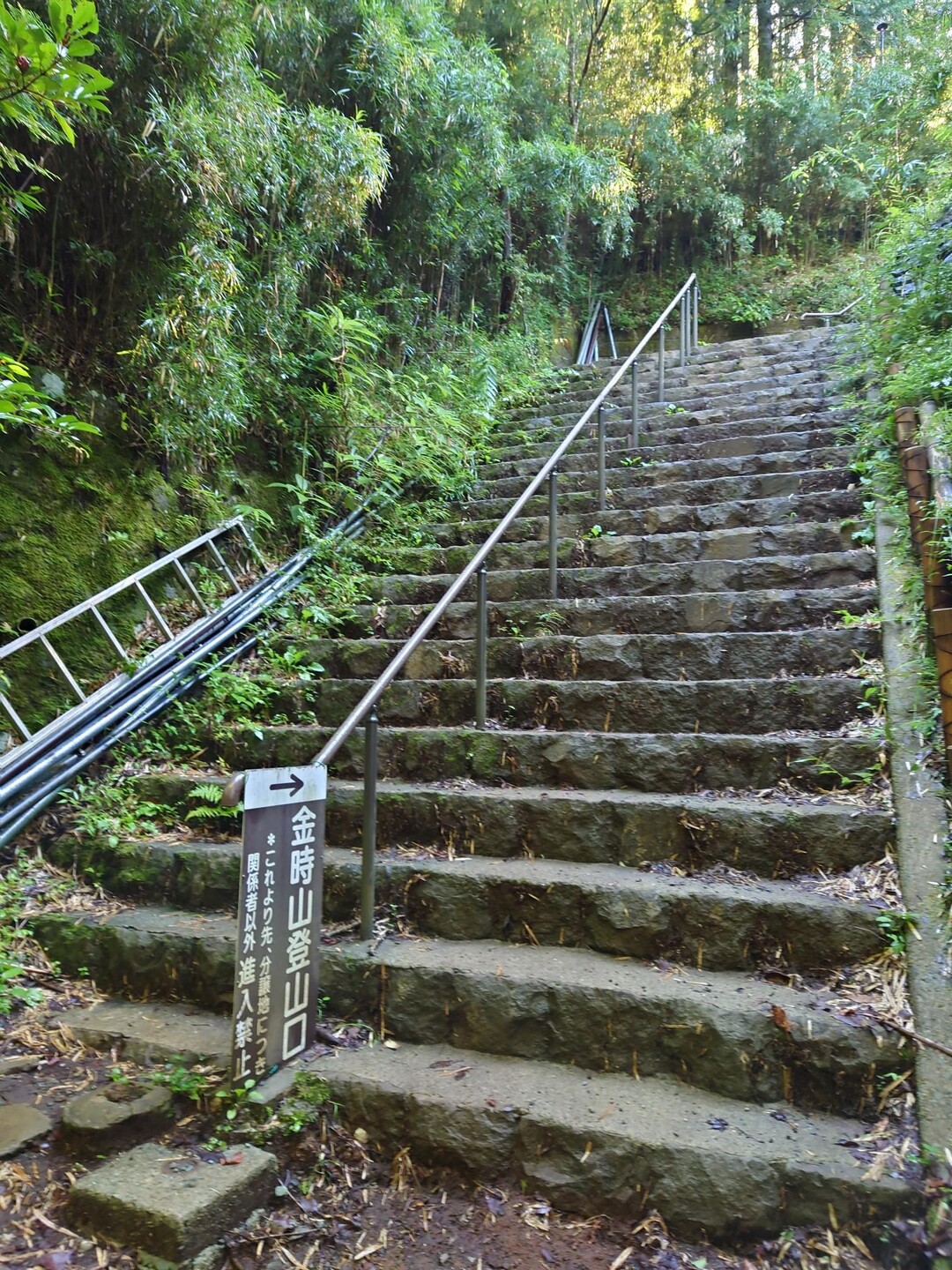 金時山・矢倉岳(仮) / DRさんの金時山・明神ヶ岳の活動データ | YAMAP / ヤマップ