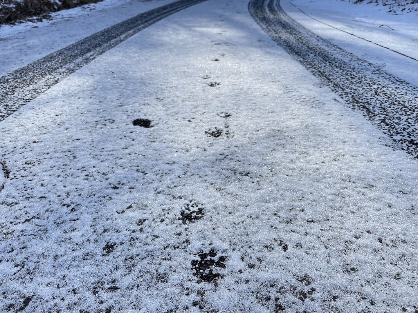 2022.01.05(水) 23:01 / ケロケロ🐸🐸🐸さんのモーメント | YAMAP / ヤマップ