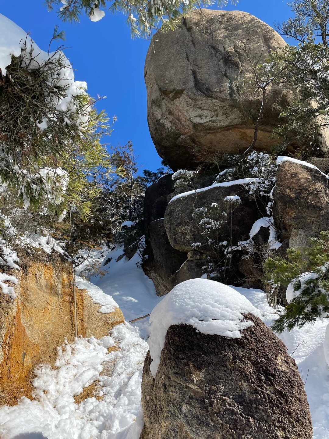 子鶏冠山・鶏冠山・天狗岩 / Ryota.Zさんの金勝アルプス（鶏冠山・竜王山）の活動データ | YAMAP / ヤマップ