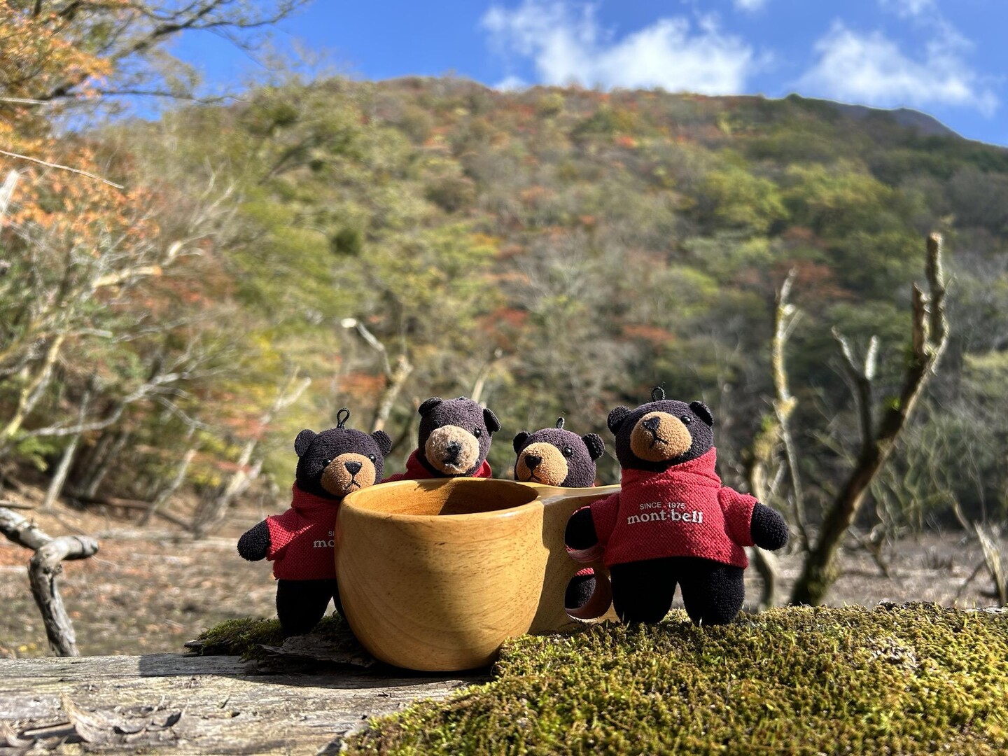 ソババッケまで紅葉散策((´∀`*)) / datinさんの九重山（久住山）・大船山・星生山の活動データ | YAMAP / ヤマップ