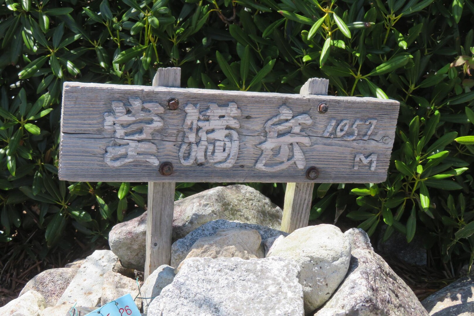 比良山系・堂満岳シャクナゲ / terryさんの比良山地・武奈ヶ岳・釈迦岳の活動データ | YAMAP / ヤマップ