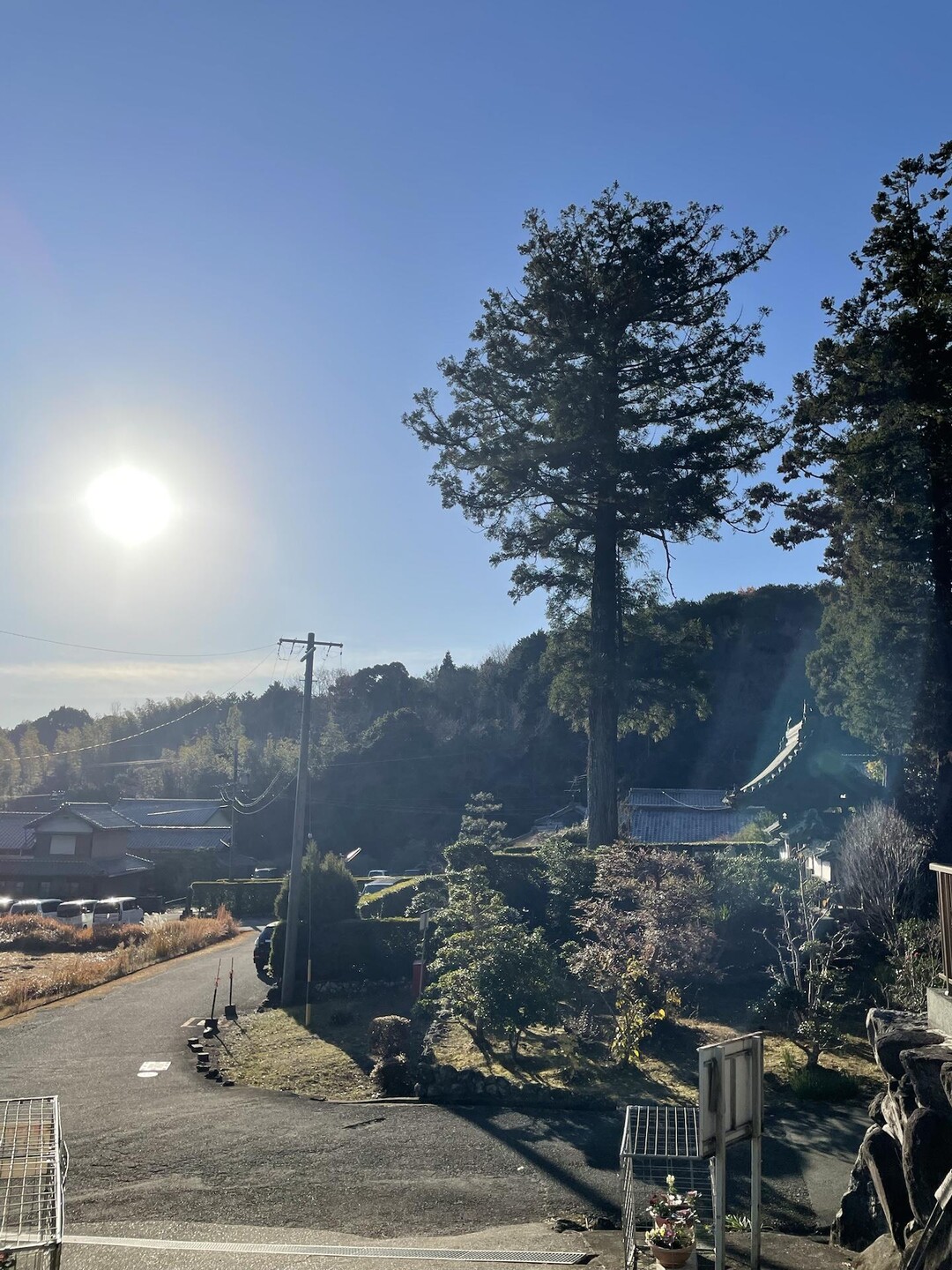 桝形山 登り初め / EBIさんの堀坂山・観音岳・桝形山（白米城）の活動データ | YAMAP / ヤマップ