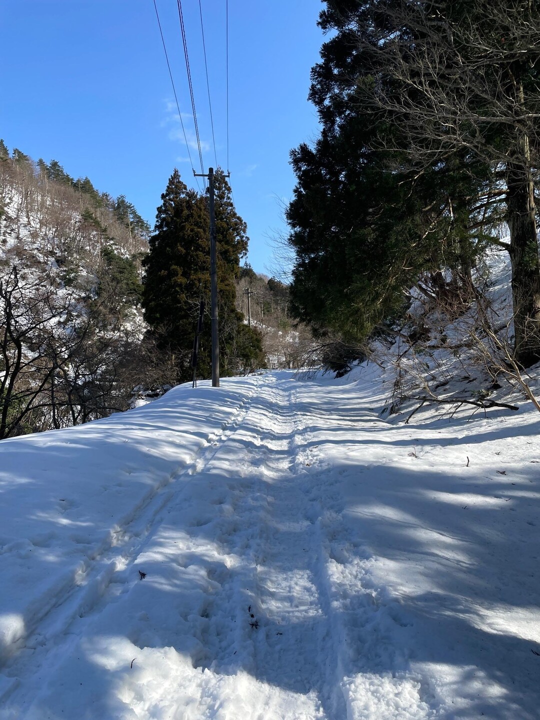 やっぱり五頭はいいね〜 の巻 三ノ峰・二ノ峰・一ノ峰・前一ノ峰・五頭山 / Kuさんの五頭山・菱ヶ岳・宝珠山の活動データ | YAMAP / ヤマップ