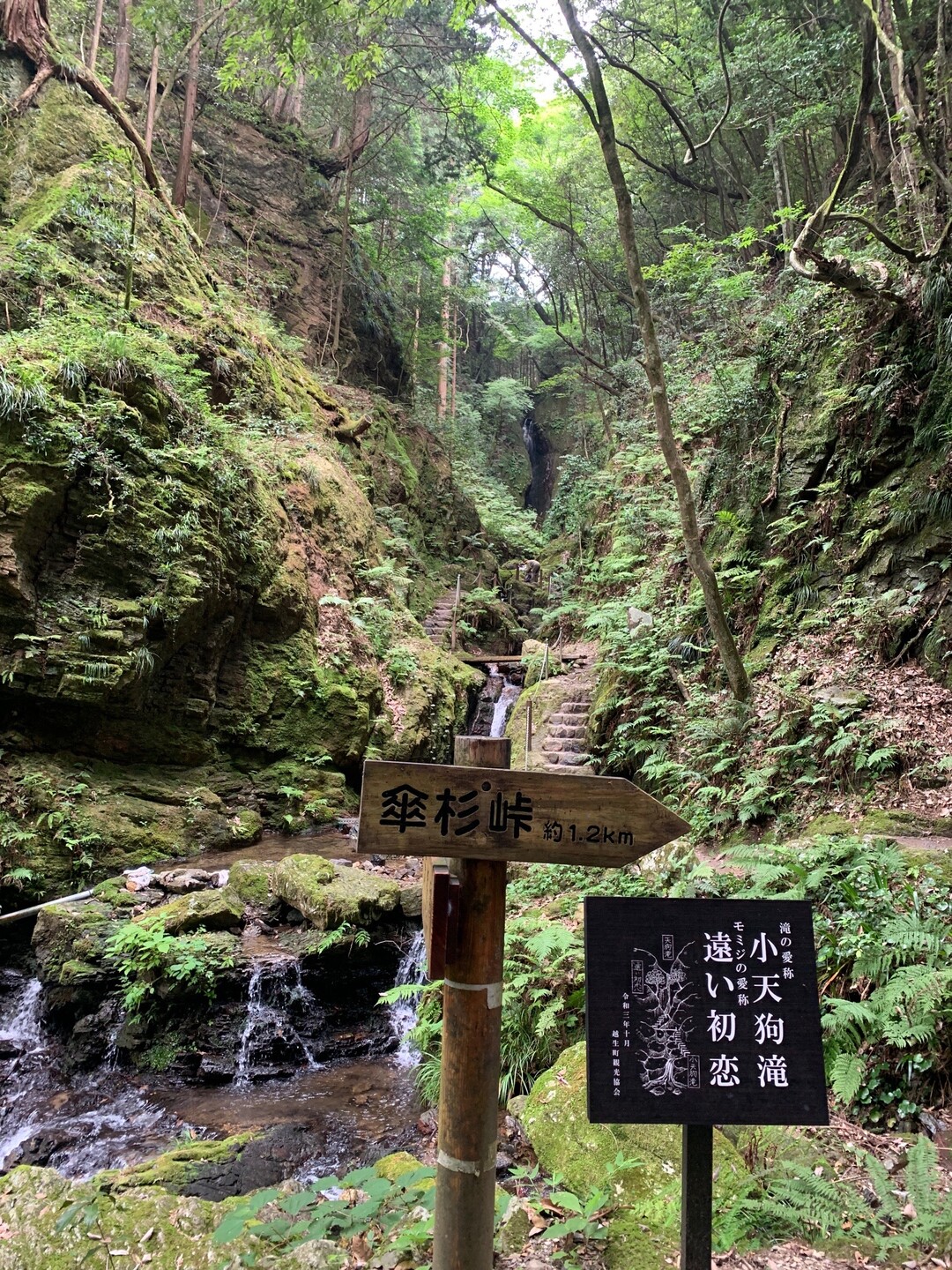 黒山三滝 / たけまりさんのウォーキングの活動データ | YAMAP / ヤマップ