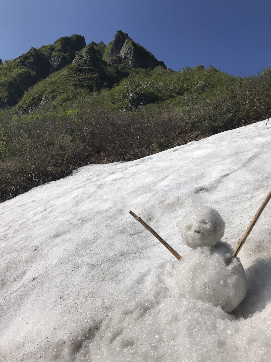 夕張岳-2019-06-25 / satokenさんの夕張岳の活動データ | YAMAP / ヤマップ