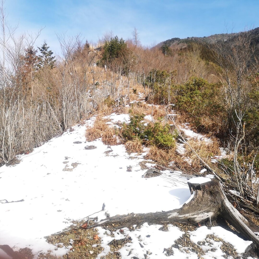 再々再々度のひつこく風呂塔 / ta.hayaさんの矢筈山・黒笠山の活動データ | YAMAP / ヤマップ
