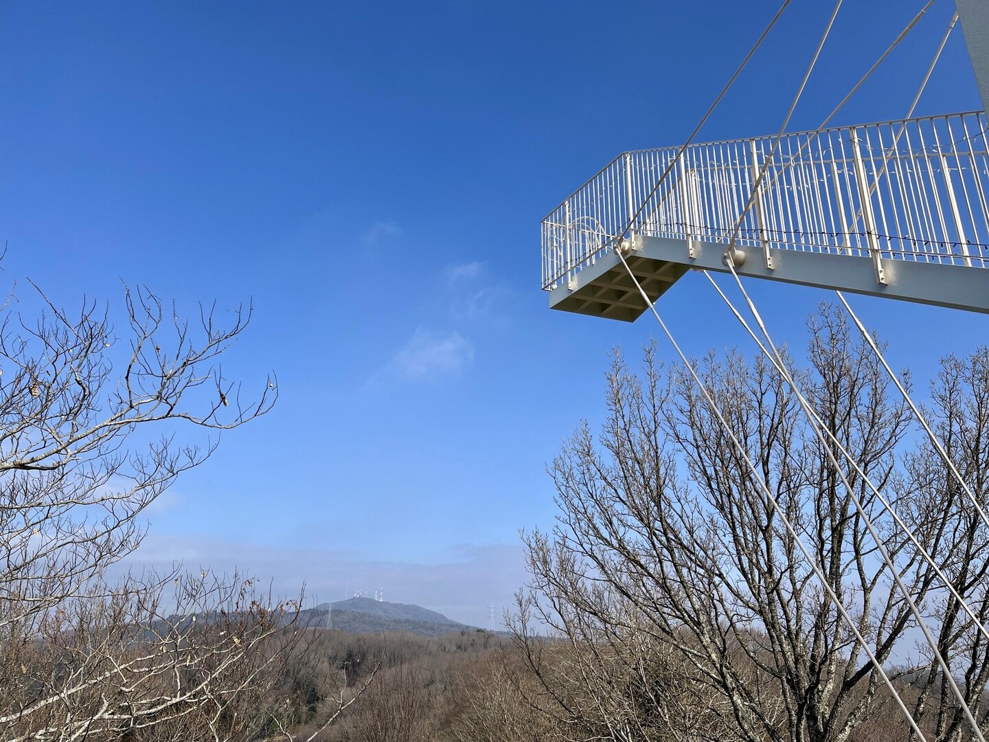 生駒トレイル「五里山・天明山・鍋谷山」 / Lucky Jr.さんの生駒山・神津嶽・大原山の活動データ | YAMAP / ヤマップ
