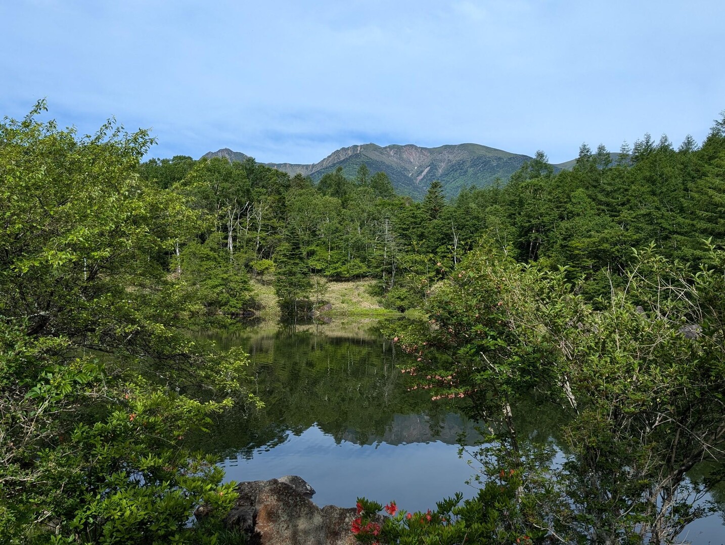 今朝の八ヶ岳。 サラサドウダンツツジが見... / 100式さんのモーメント | YAMAP / ヤマップ