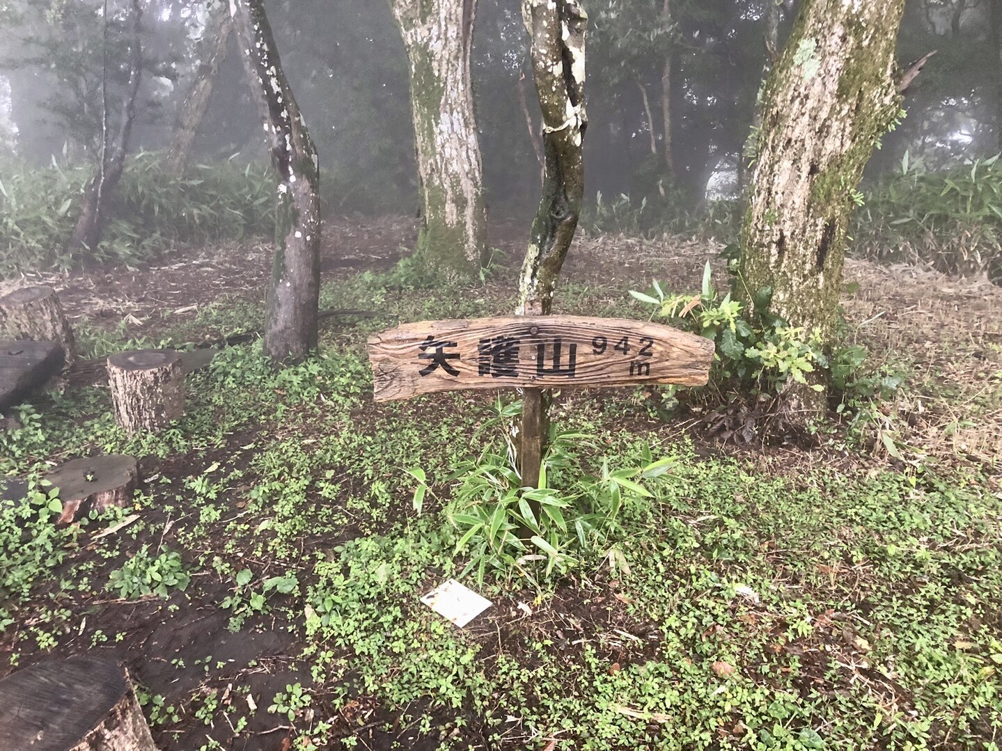 矢護山 / Red-RAV4💫さんのツームシ山・鞍岳の活動データ | YAMAP / ヤマップ