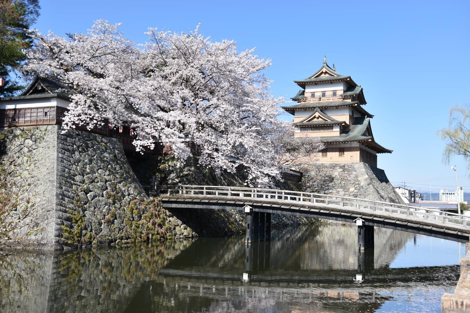 高島城の桜撮影、間に合いました！ 昨日は... / Y-Yuccaさんのモーメント | YAMAP / ヤマップ