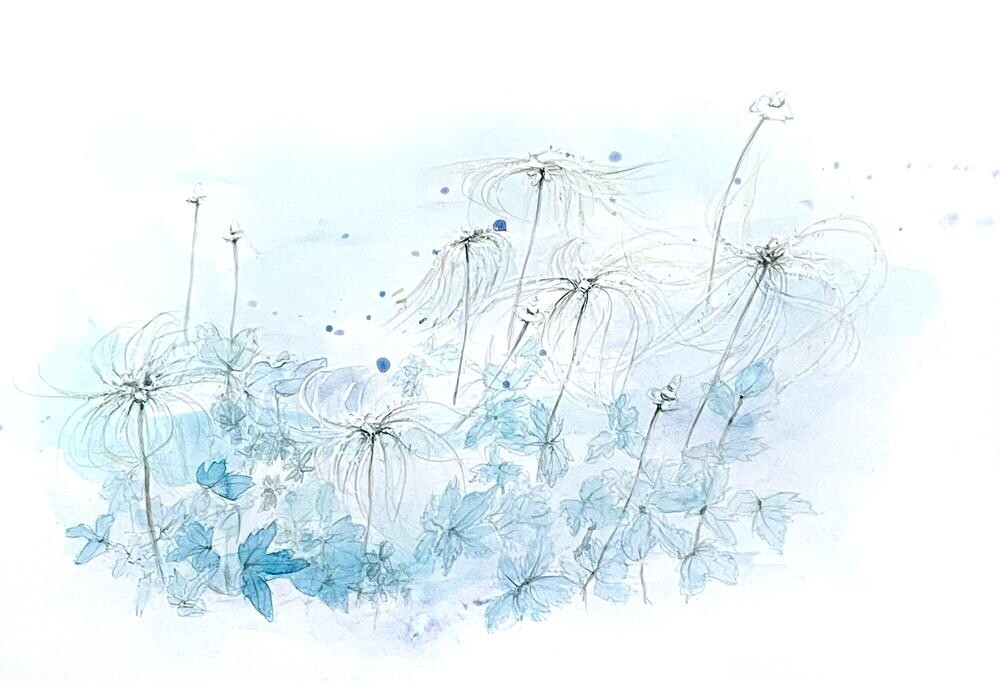 白山 チングルマ チングルマは落葉広葉... / watsonさんのモーメント | YAMAP / ヤマップ