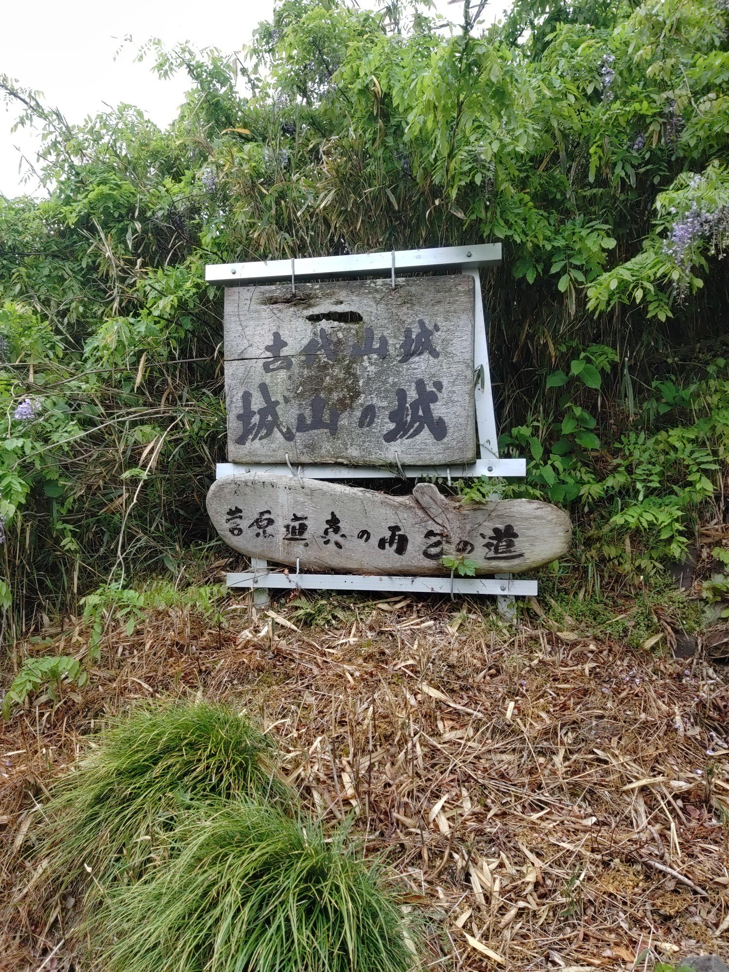 城山JACKｰJACK / JACK-JACK23さんの城山・郷師山の活動日記 | YAMAP / ヤマップ