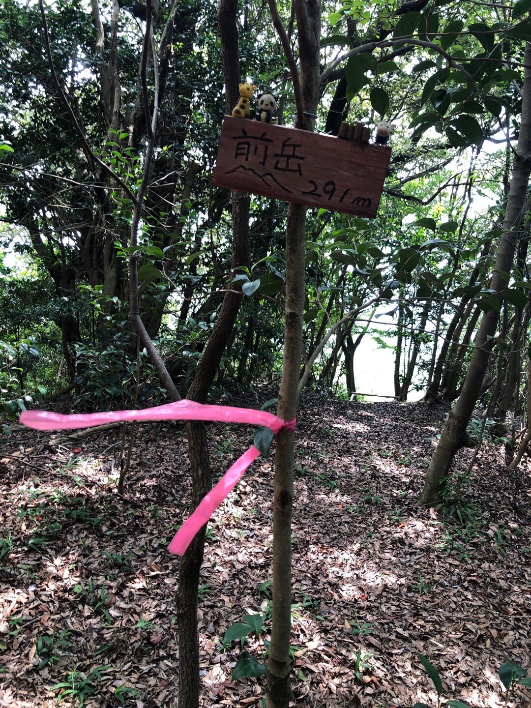 前岳 / Rieさんの小岱山（筒ヶ岳）・観音岳・丸山の活動データ | YAMAP / ヤマップ