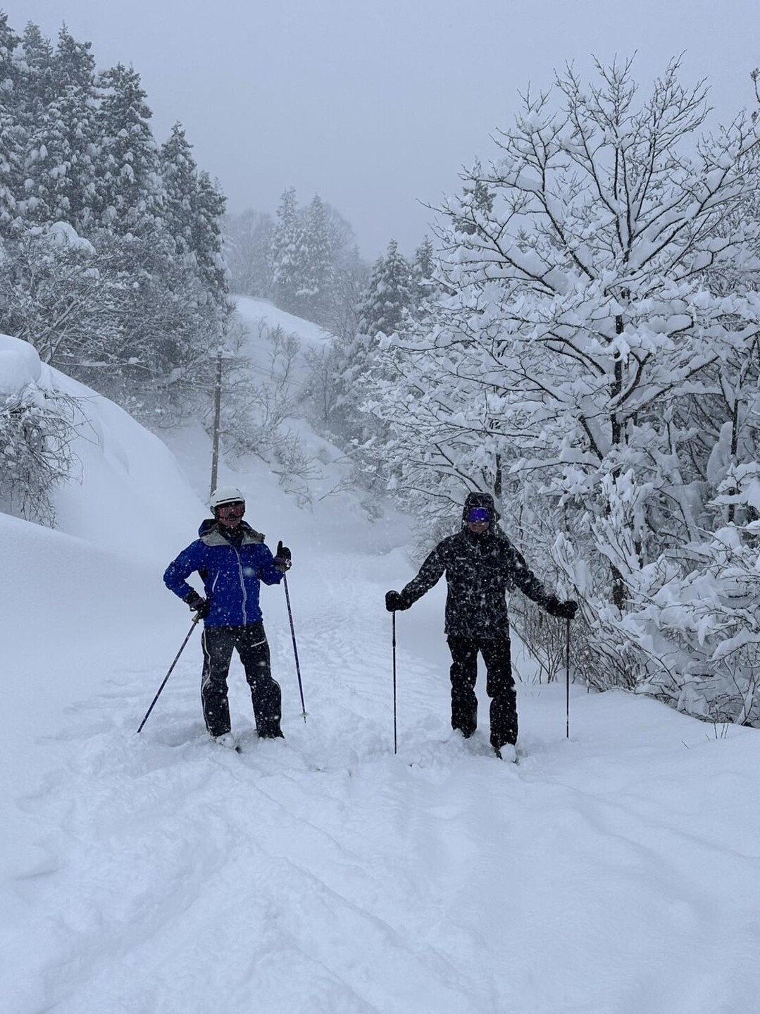 立山山麓スキー場 1年生の時にスキー実習... / genjiさんのモーメント | YAMAP / ヤマップ