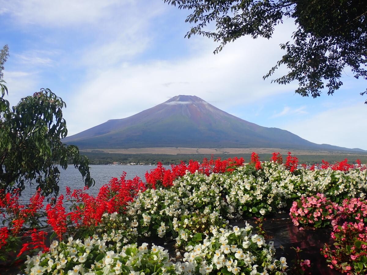 大平山 / kumomaさんの御正体山・杓子山・石割山の活動データ | YAMAP / ヤマップ