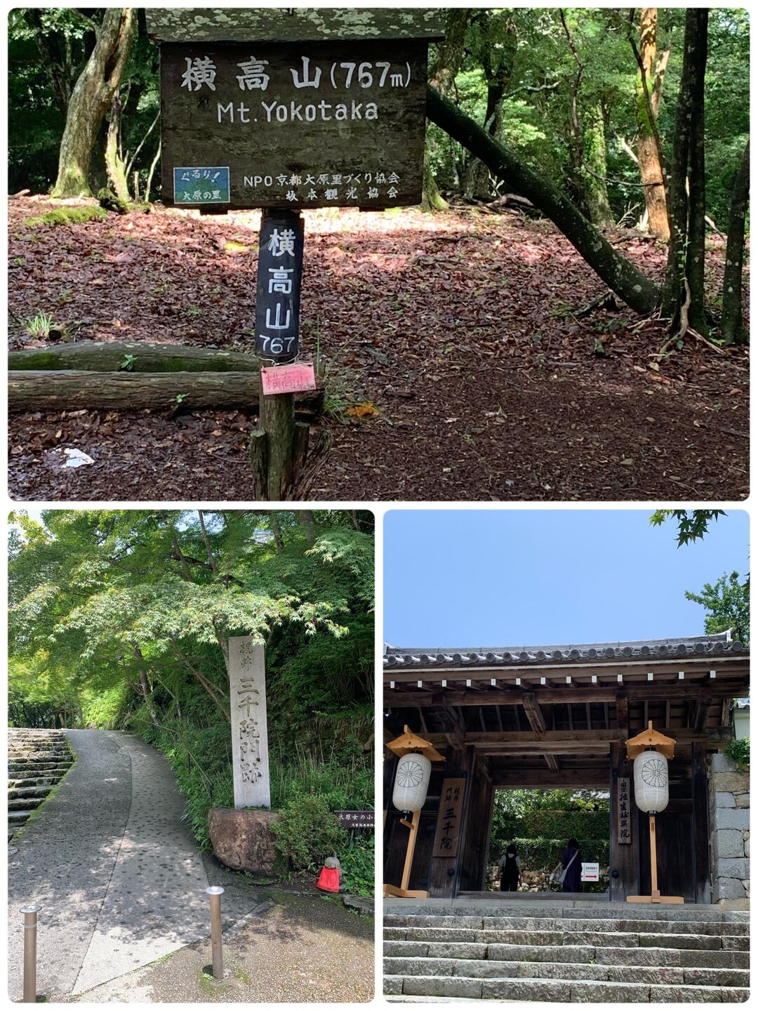 比叡山から横高山を経て大原三千院へ / nogi5196さんの比叡山・横高山・梶山の活動データ | YAMAP / ヤマップ