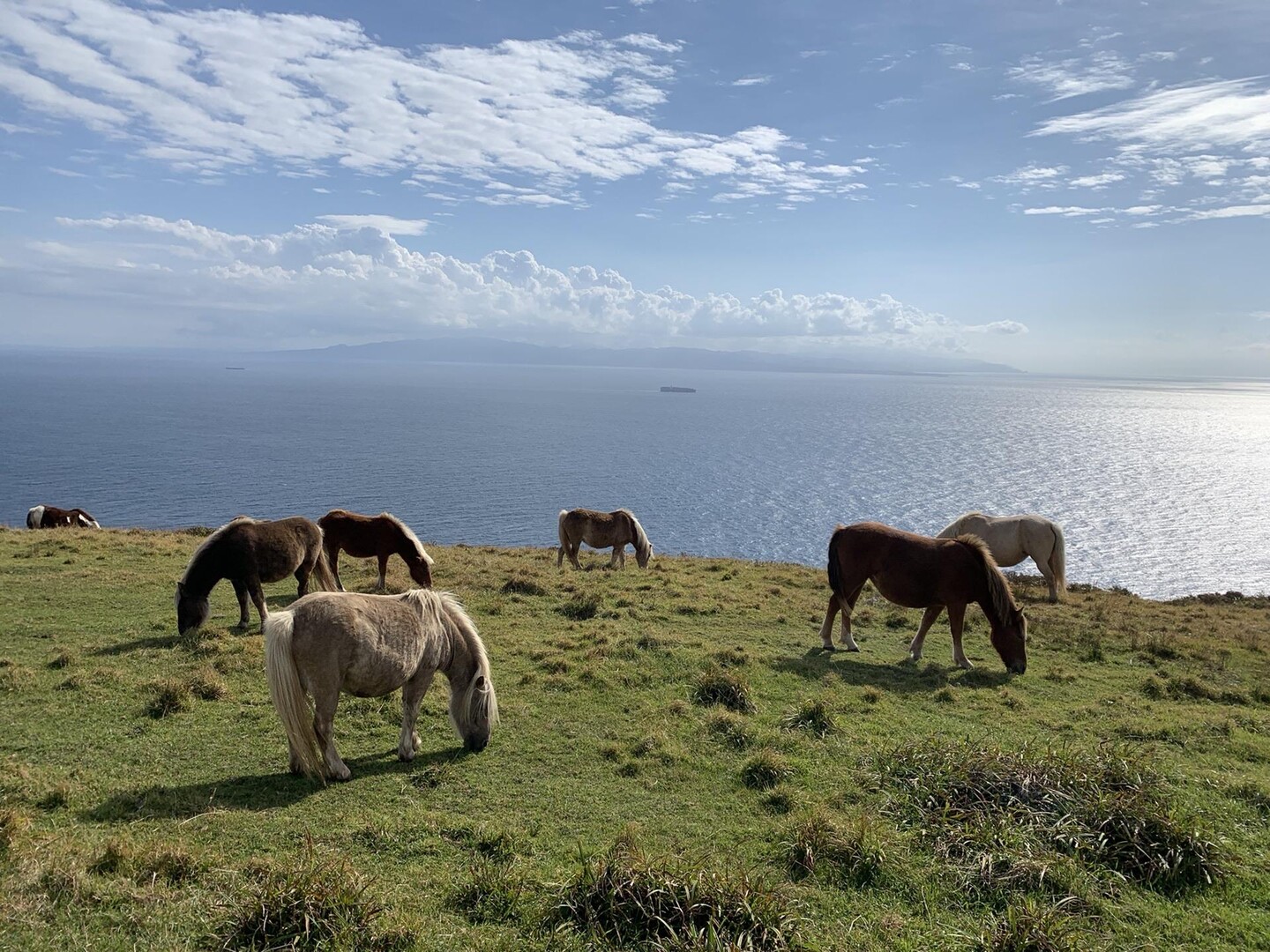 R4.10.15② 汐首山 / あおかつさんの汐首山の活動データ | YAMAP / ヤマップ