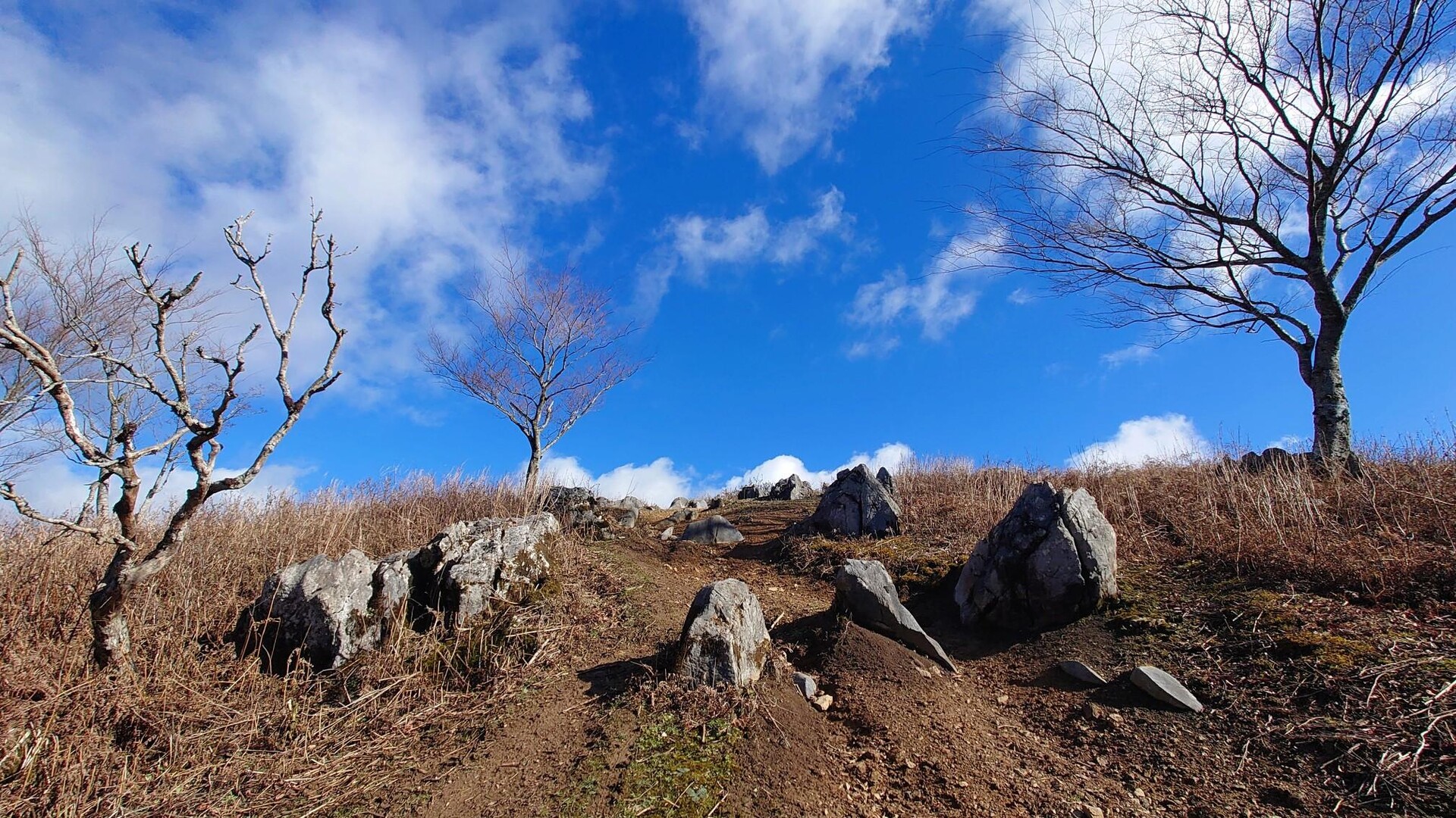 高室山 / yanagingさんの高室山の活動データ | YAMAP / ヤマップ