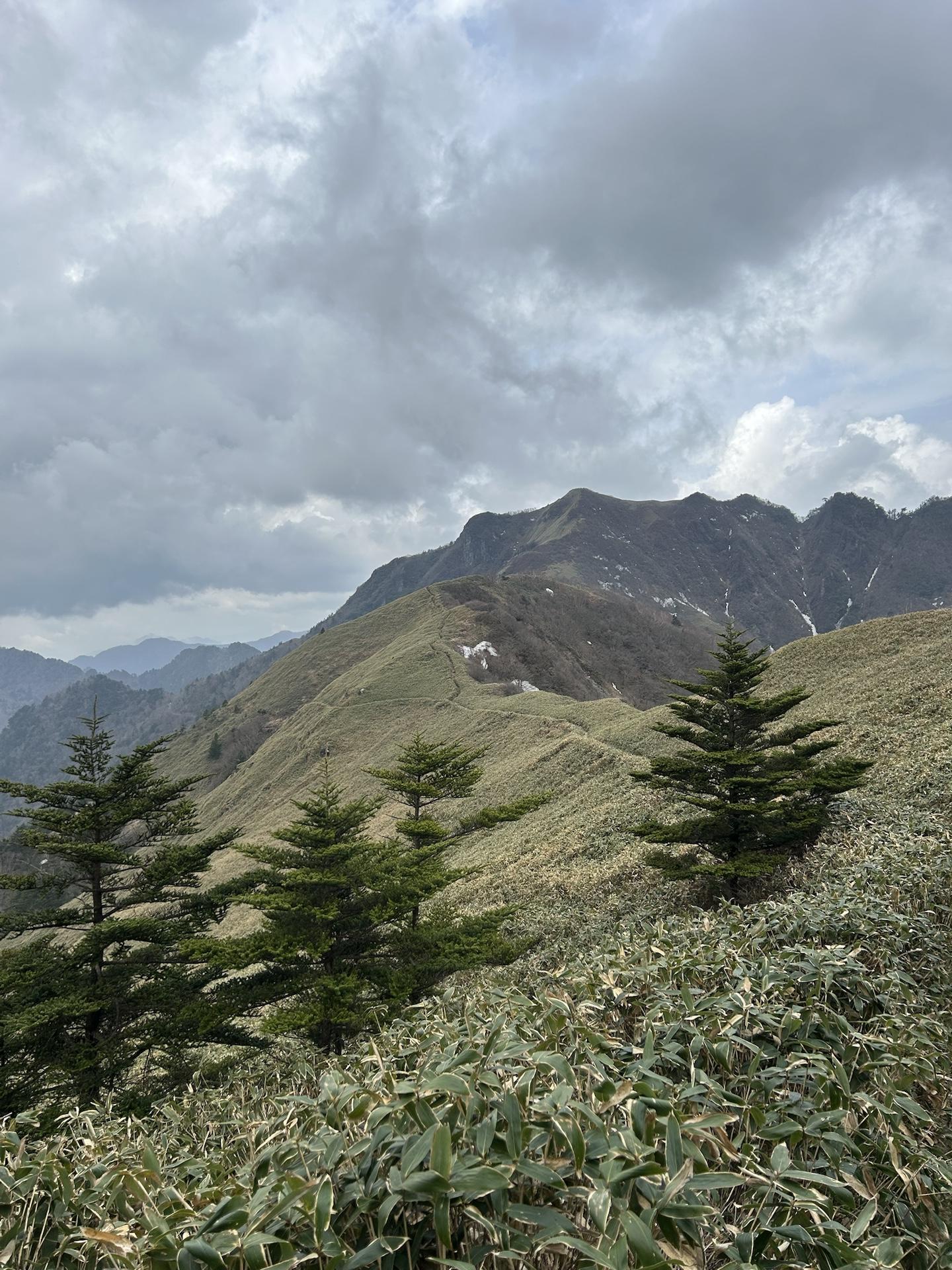 伊予富士 / katakunさんの笹ヶ峰・寒風山・平家平の活動データ | YAMAP / ヤマップ