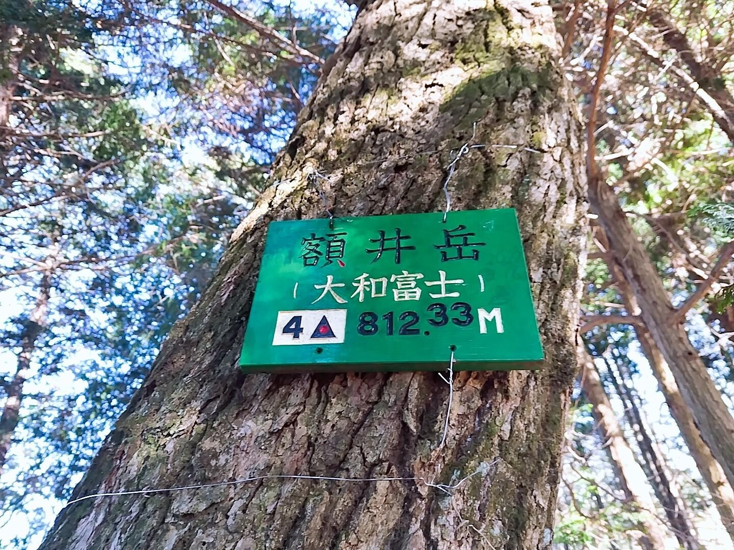 額井岳 / Kinuさんの額井岳の活動データ | YAMAP / ヤマップ