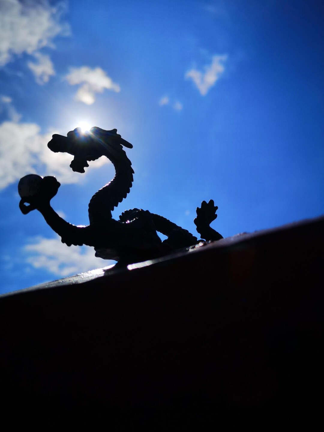 神津島🐲天上山異次元 / senさんの天上山・神津島の活動データ | YAMAP / ヤマップ