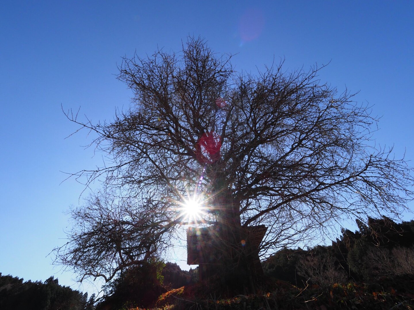 お写んぽ 猿投山etc / 39goenさんのウォーキングの活動データ | YAMAP / ヤマップ