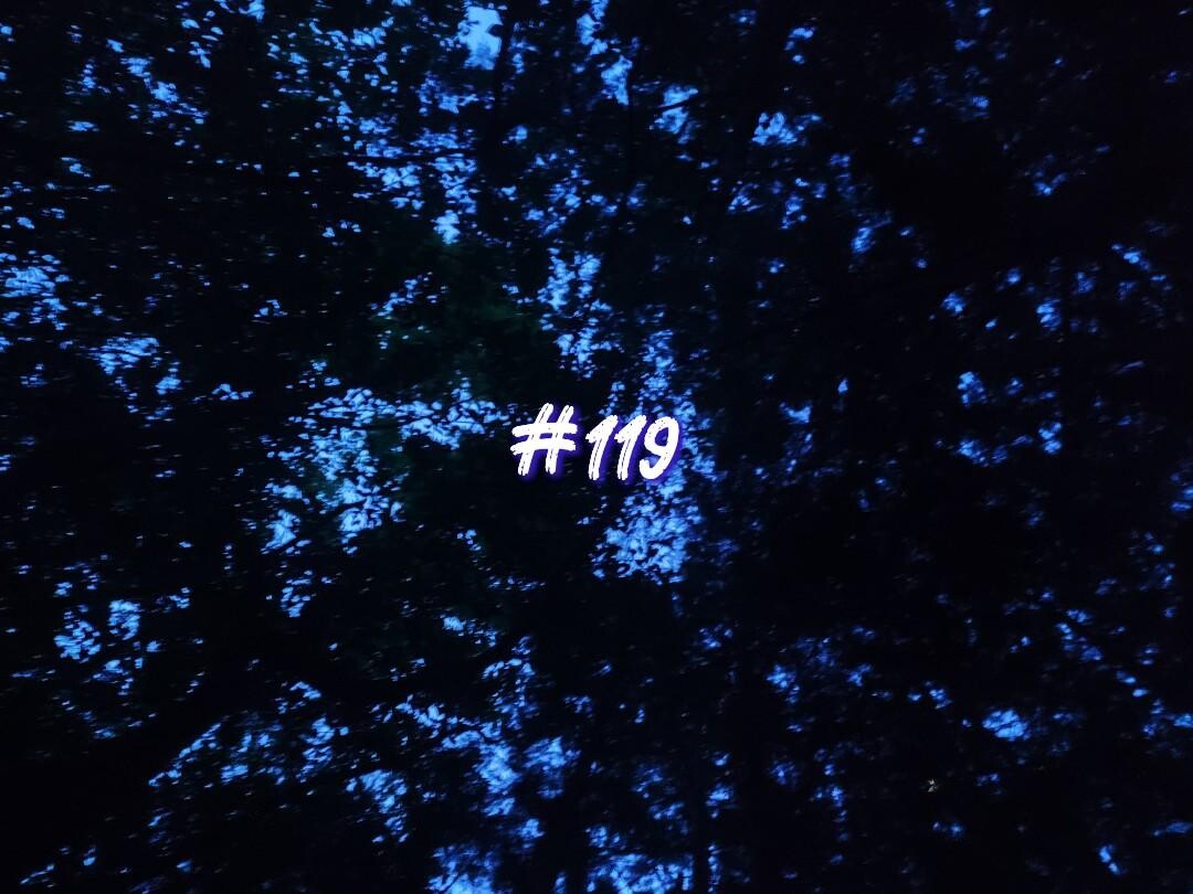 金剛山(119)松の木↗千早本道↘ / ゃまぼさんの金剛山・二上山・大和葛城山の活動データ | YAMAP / ヤマップ