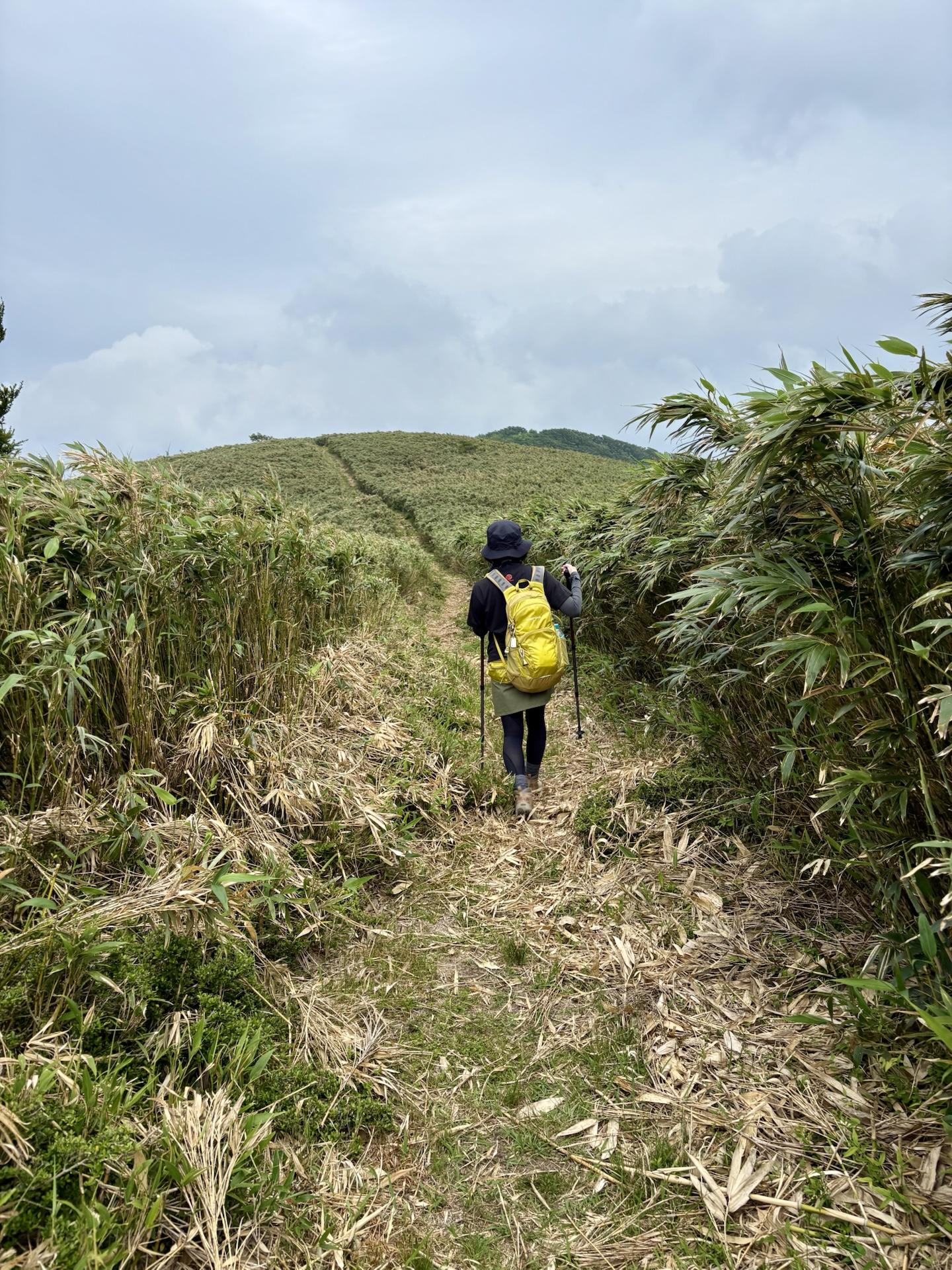 津黒山（中央登山口ルート 往復） / coco☺︎さんの津黒山の活動データ | YAMAP / ヤマップ