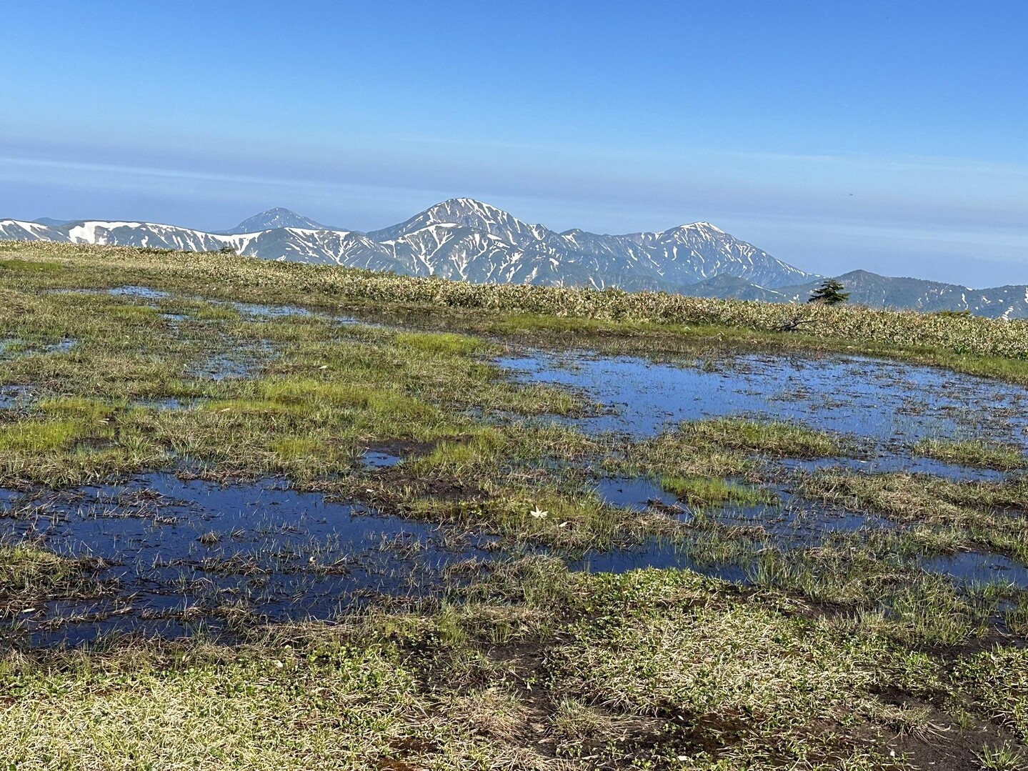 下台倉山・台倉山・池ノ岳・平ヶ岳 / a123さんの平ヶ岳・台倉山・池ノ岳の活動データ | YAMAP / ヤマップ