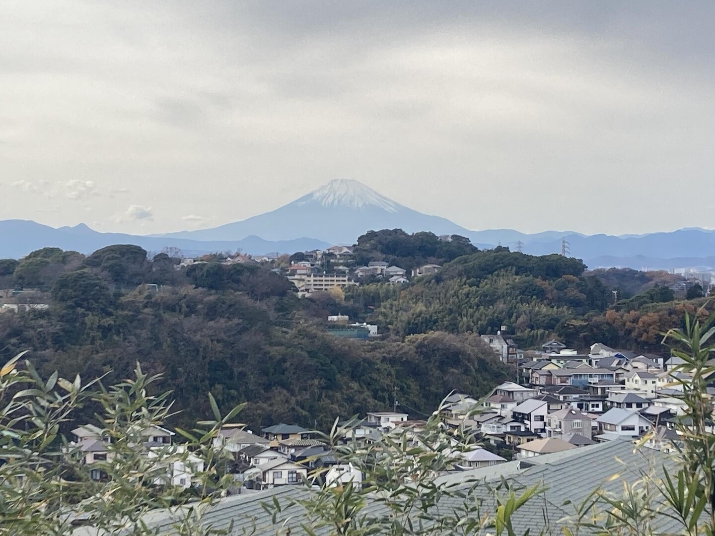 桔梗山・峯山 / Moppetさんの鎌倉アルプス（大平山・天台山）の活動データ | YAMAP / ヤマップ