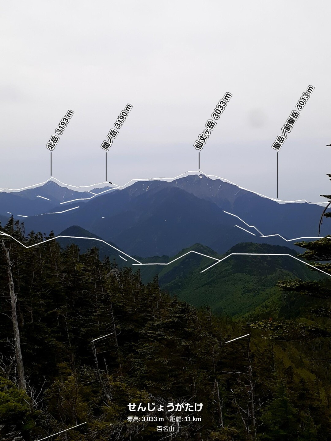 釜無山ー白岩岳-2023-06-18 / ko usさんの入笠山の活動日記 | YAMAP / ヤマップ