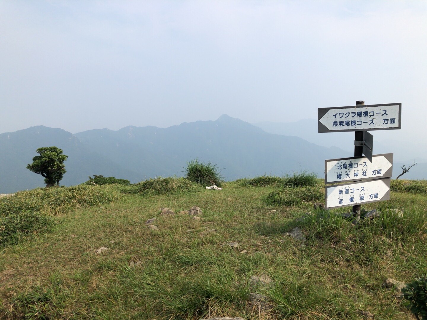 入道ヶ岳〜水沢峠〜鎌ヶ岳 周回（予定）TK / SAGさんの入道ヶ岳・鎌ヶ岳・仙ヶ岳の活動日記 | YAMAP / ヤマップ